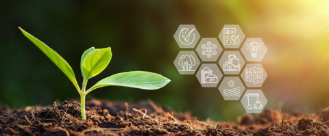 SURE | be SURE to be sustainable
