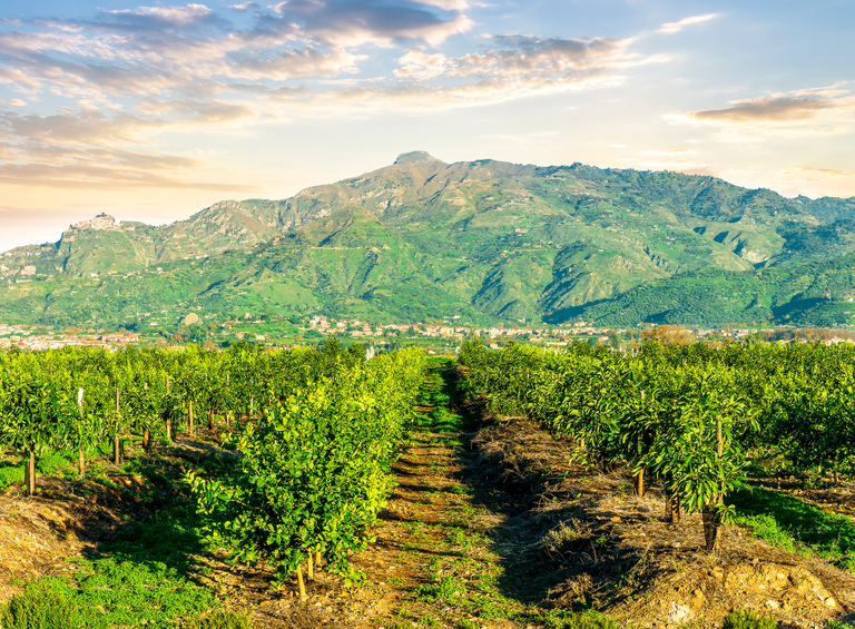 SURE | be SURE to be sustainable