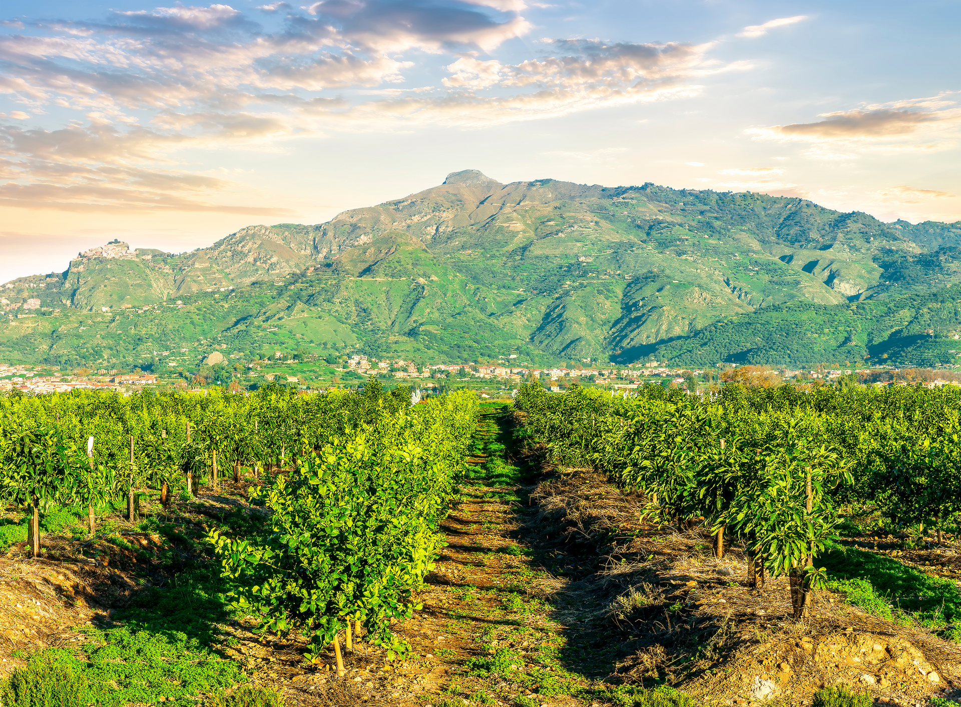 SURE | be SURE to be sustainable