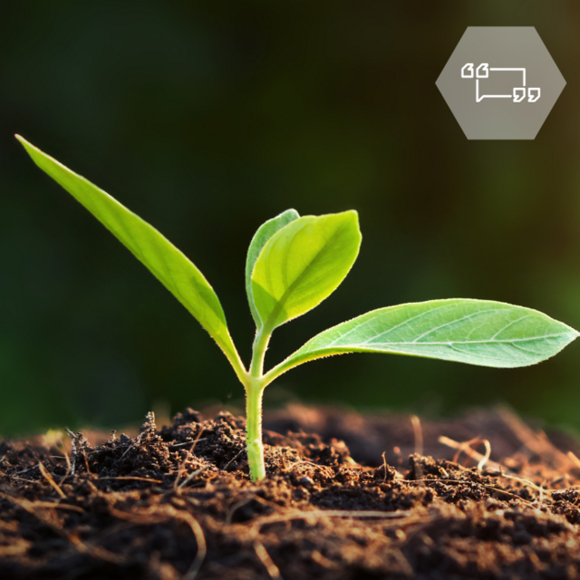 SURE | be SURE to be sustainable