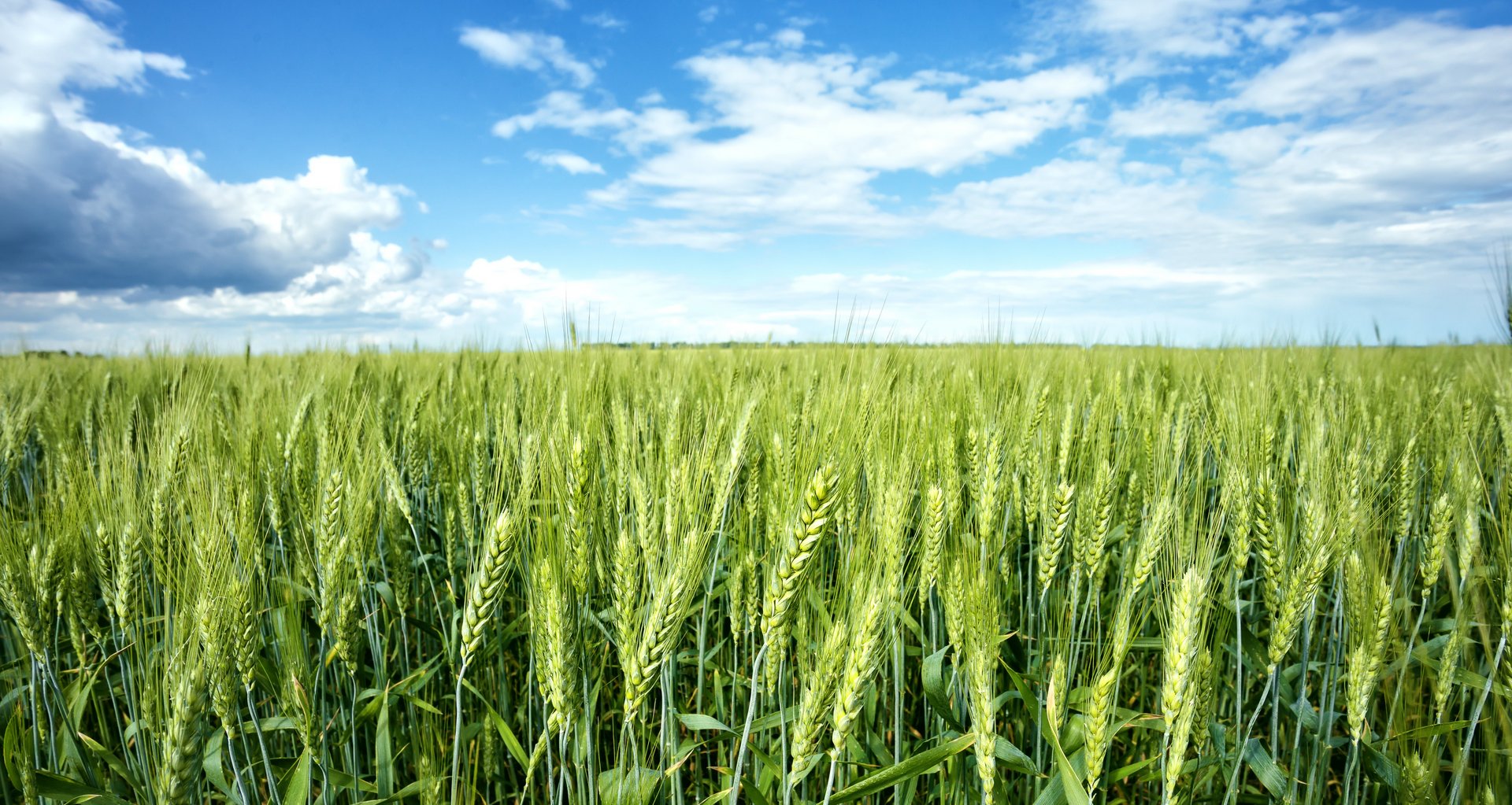 SURE | be SURE to be sustainable