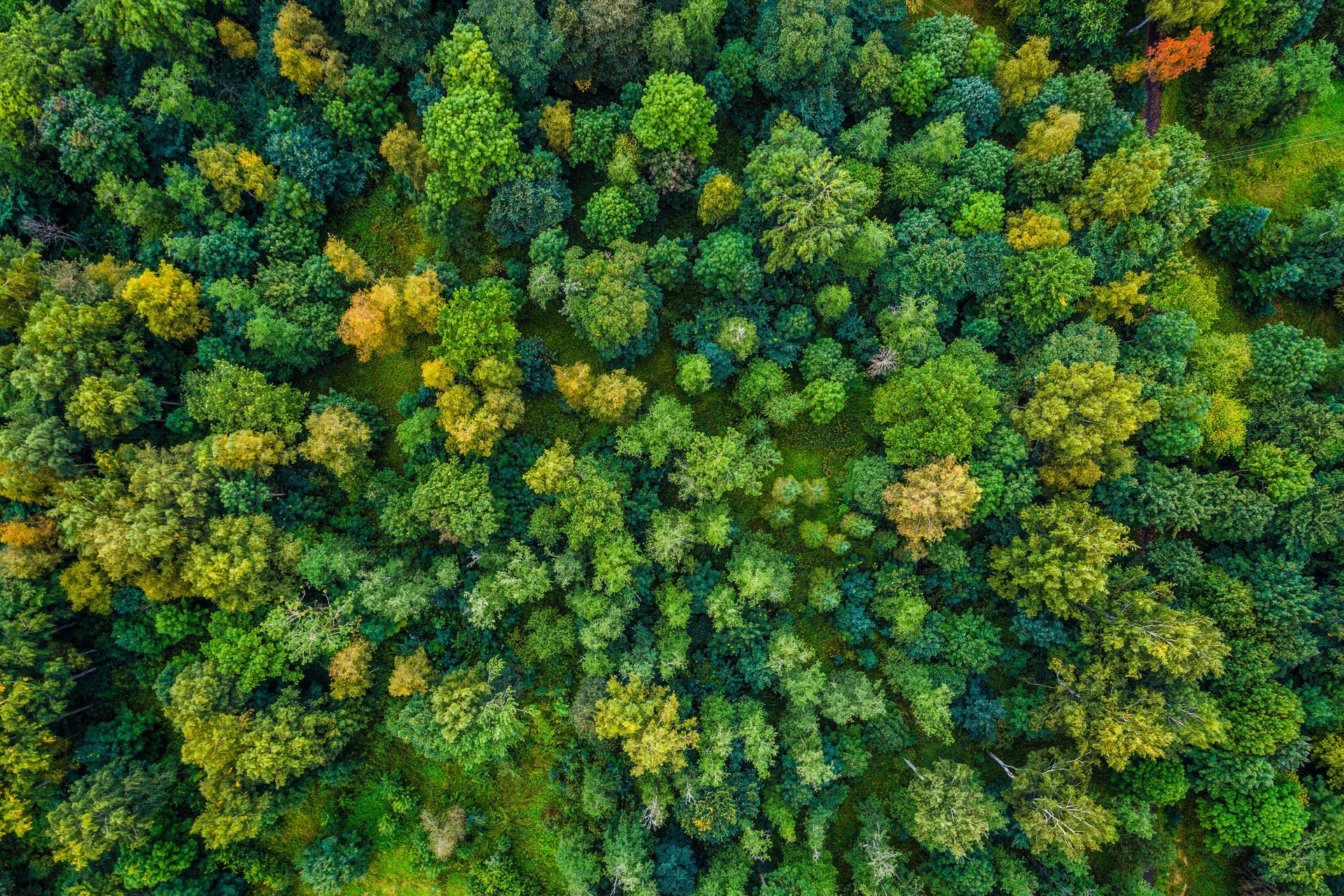 SURE | be SURE to be sustainable